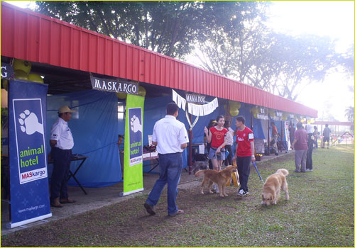 MASkargo Animal Hotel - Gallery