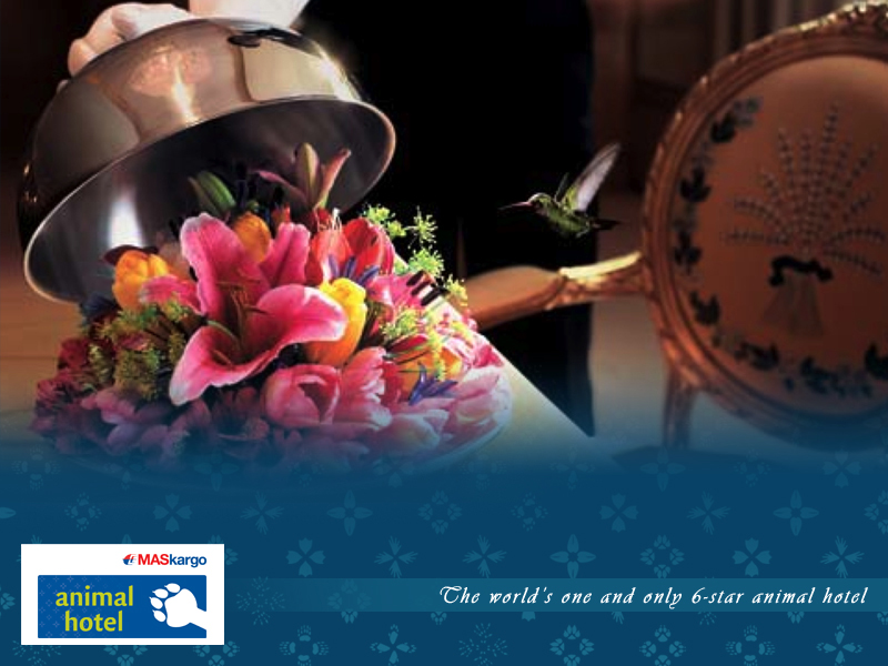 MASkargo Animal Hotel - Wallpaper