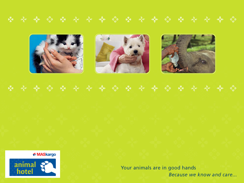 MASkargo Animal Hotel - Wallpaper