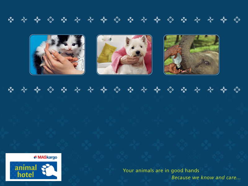 MASkargo Animal Hotel - Wallpaper